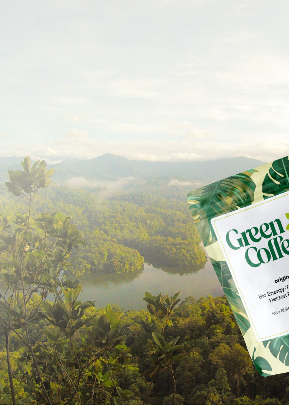 Buy Guayusa Tea From Green Caffeine The Natural Organic Energy Drink